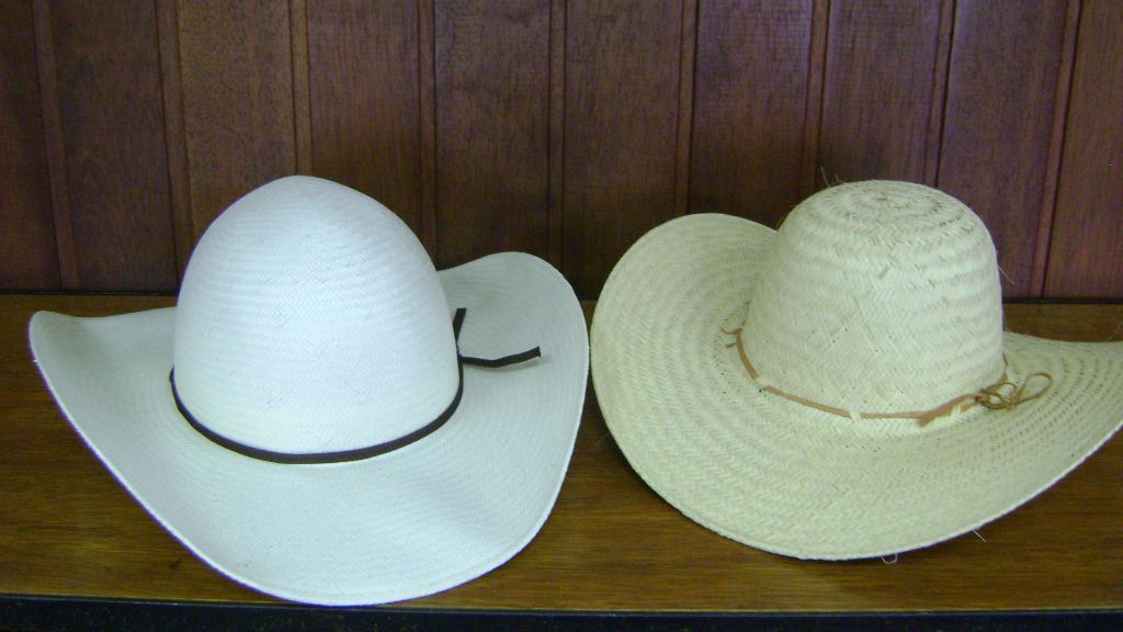 Gestão De Pessoas: Chapéu